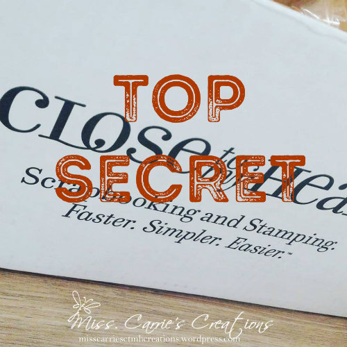 Top Secret Packages – Miss. Carrie's Creations